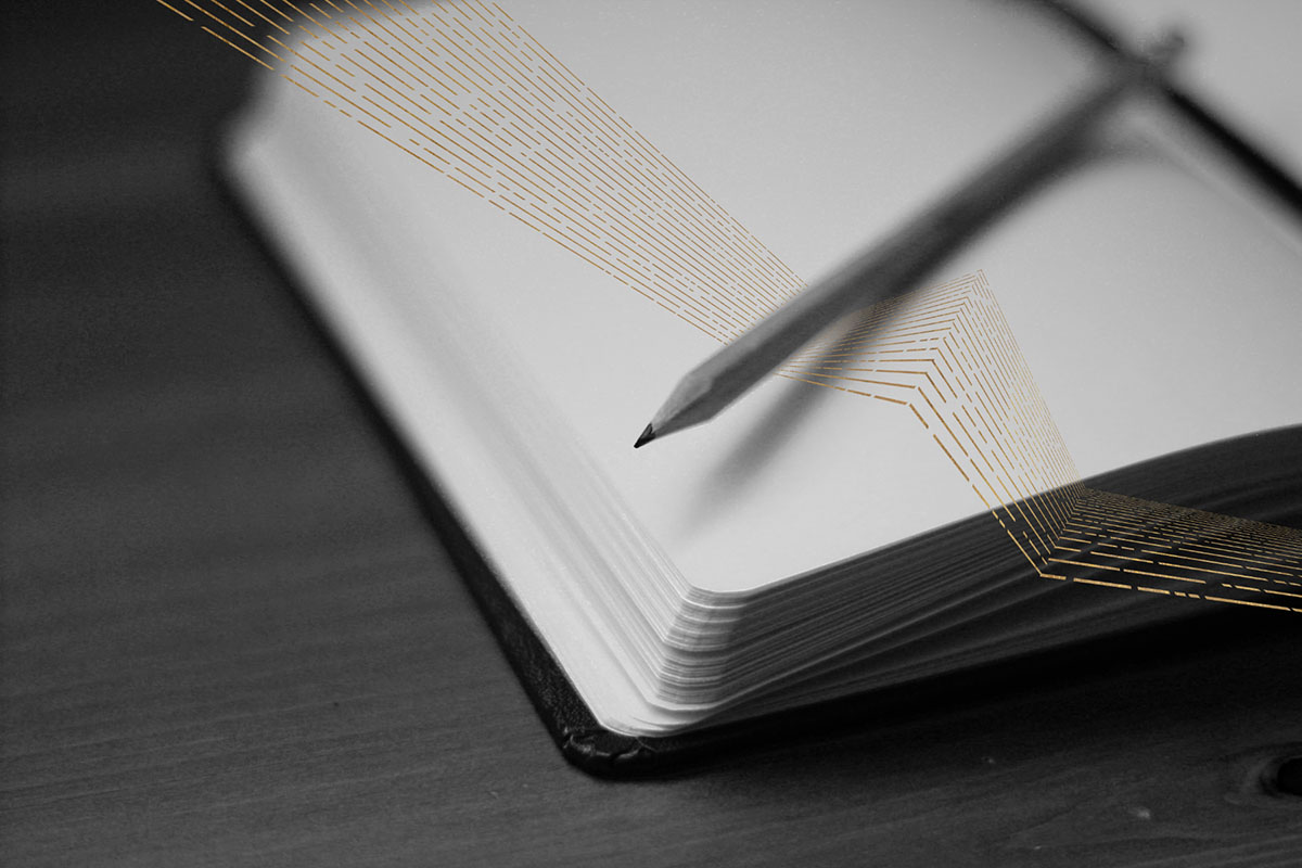 Pre-Production | PIRATES ’N PARADISE